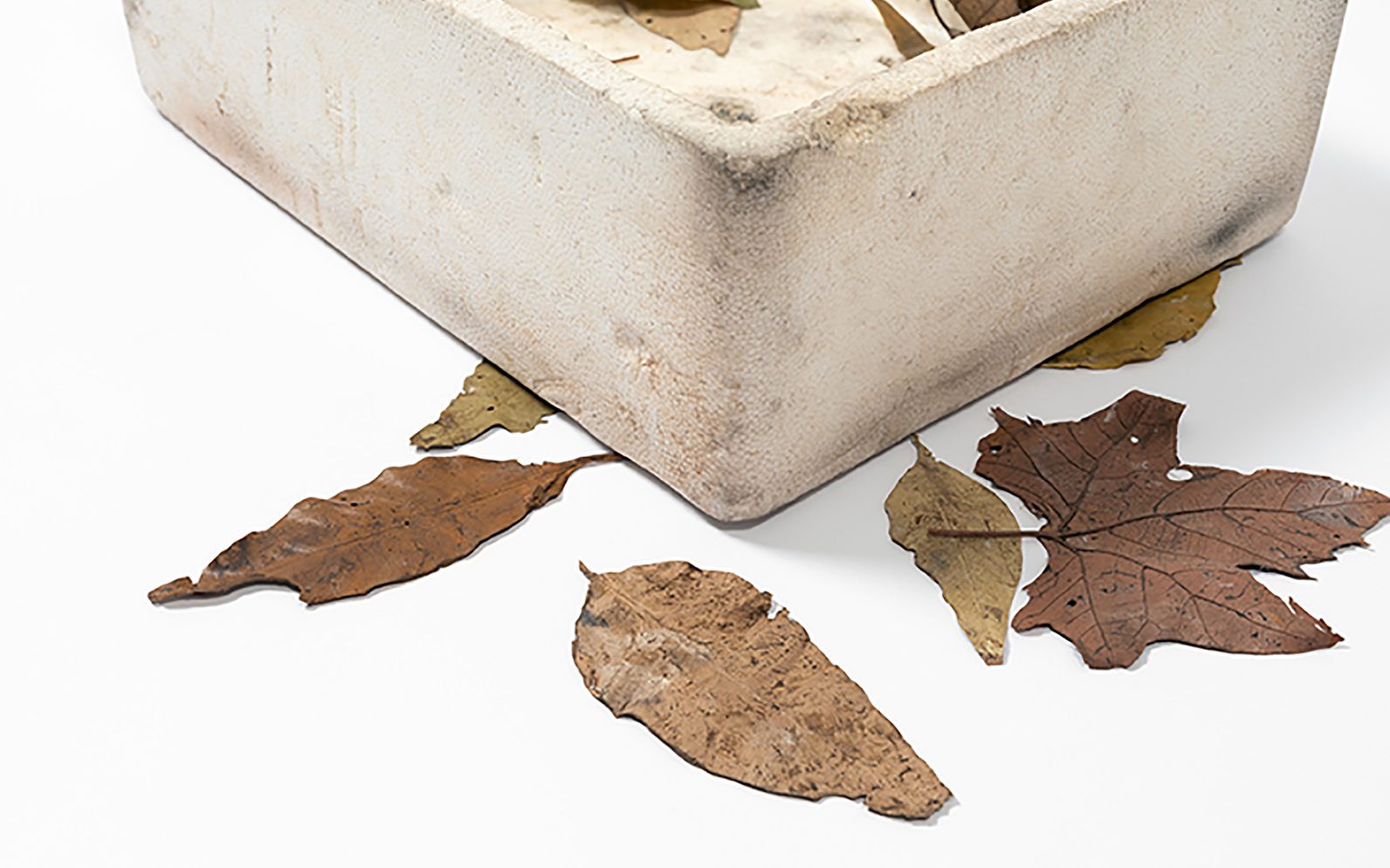 Hany Armanious: Stone Soup | The Henry Moore Institute