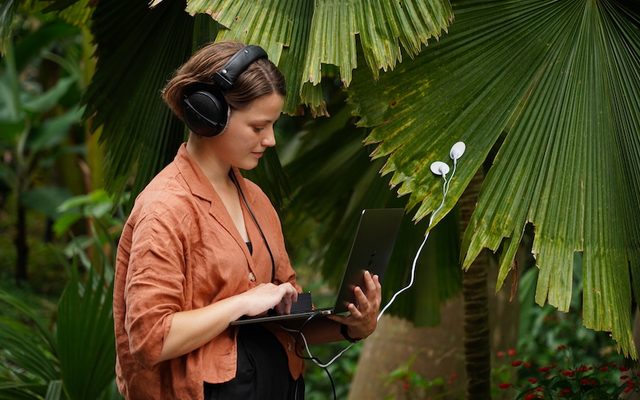 Family-friendly Field Recording with Alice Boyd | Henry Moore Foundation