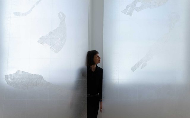Sarah Casey: Drawing on the Cusp of Visibility | Henry Moore Institute